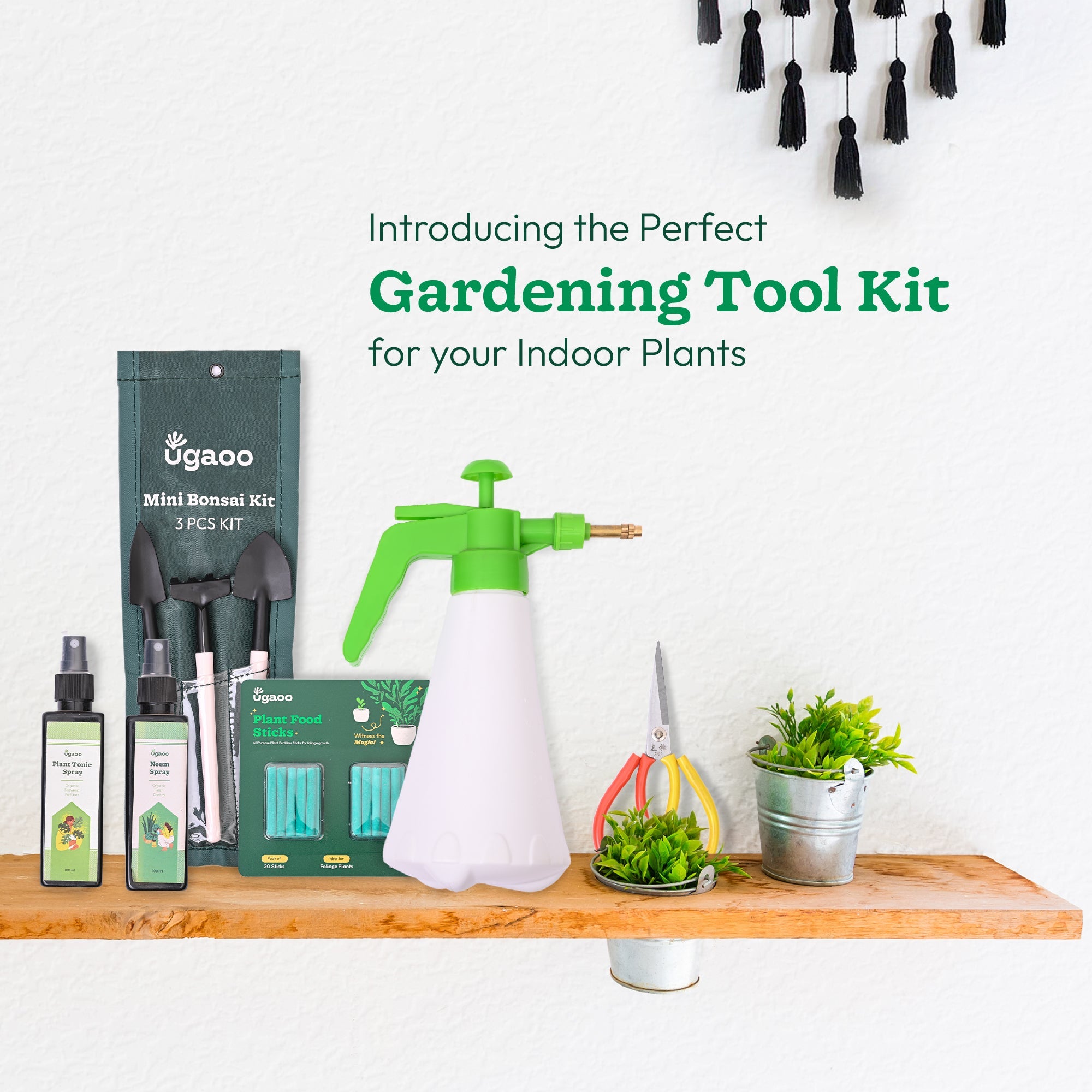 Indoor Gardening Kit – Ugaoo