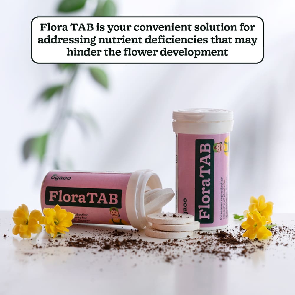 Flora Tab Fertilizer Tablets: Boost Flower Growth Naturally – Ugaoo