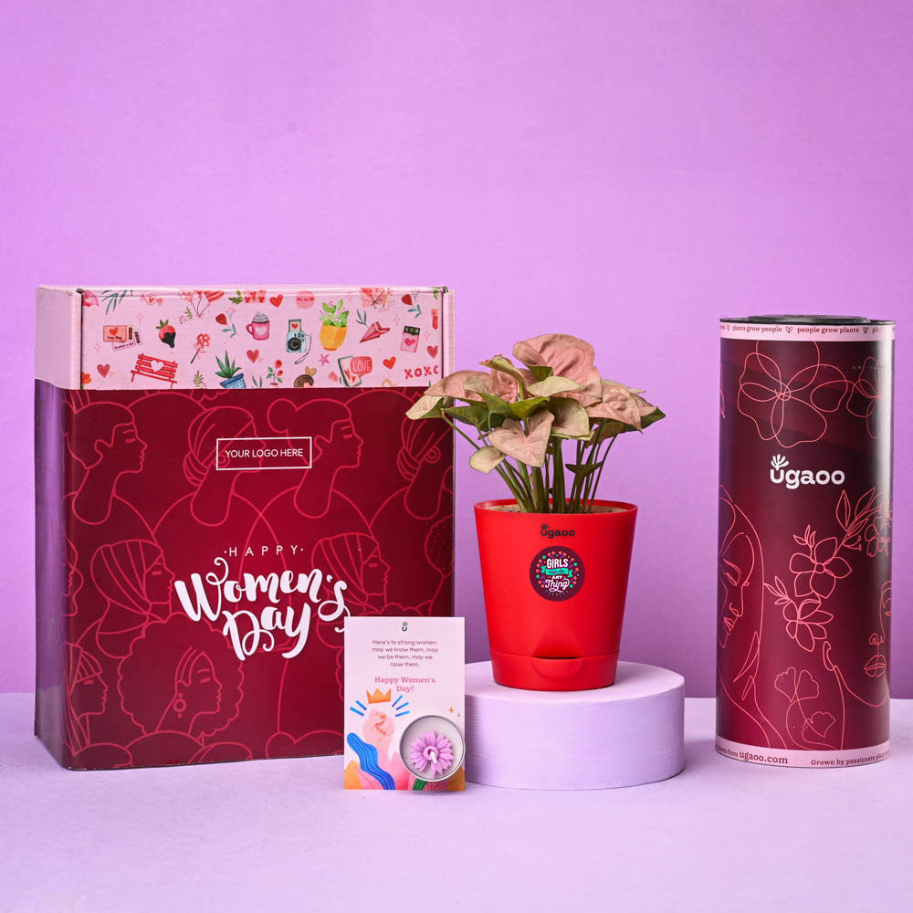 Pink Syngonium Bliss Women's Day Gift – Ugaoo
