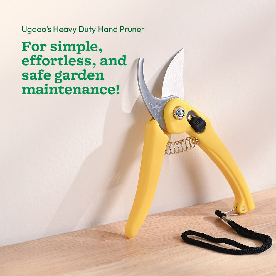 Gardening Tools for Home | Tools for Plant Care – Ugaoo