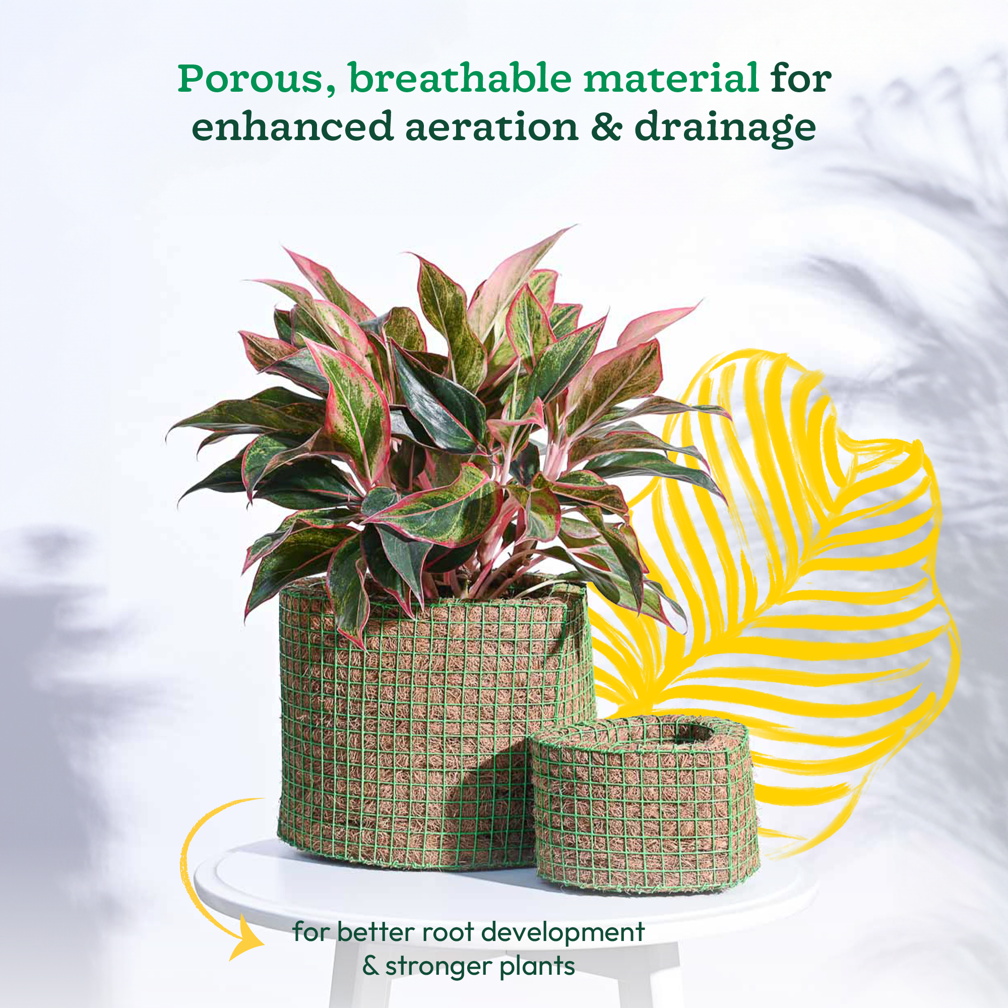 Heart Coir Planter - Set of 2 – Ugaoo