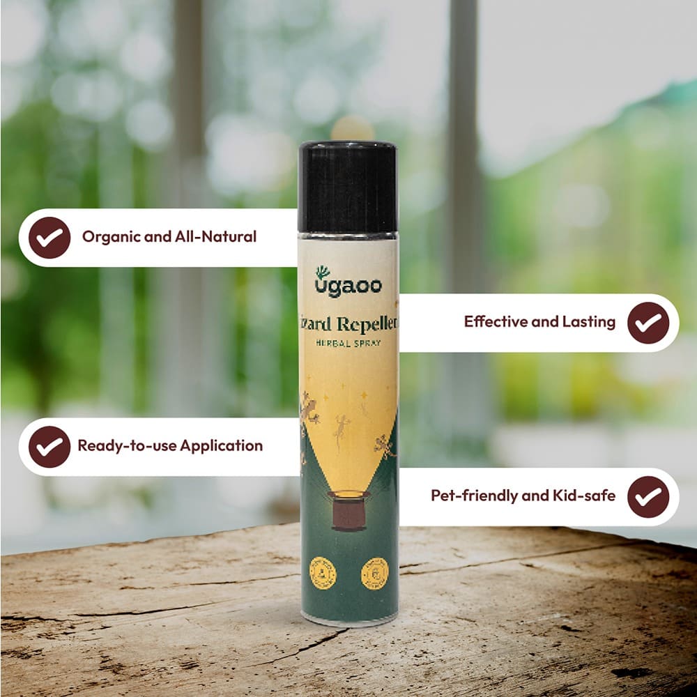 Buy Natural Lizard Repellent Spray: Safe Solution for Pest Control