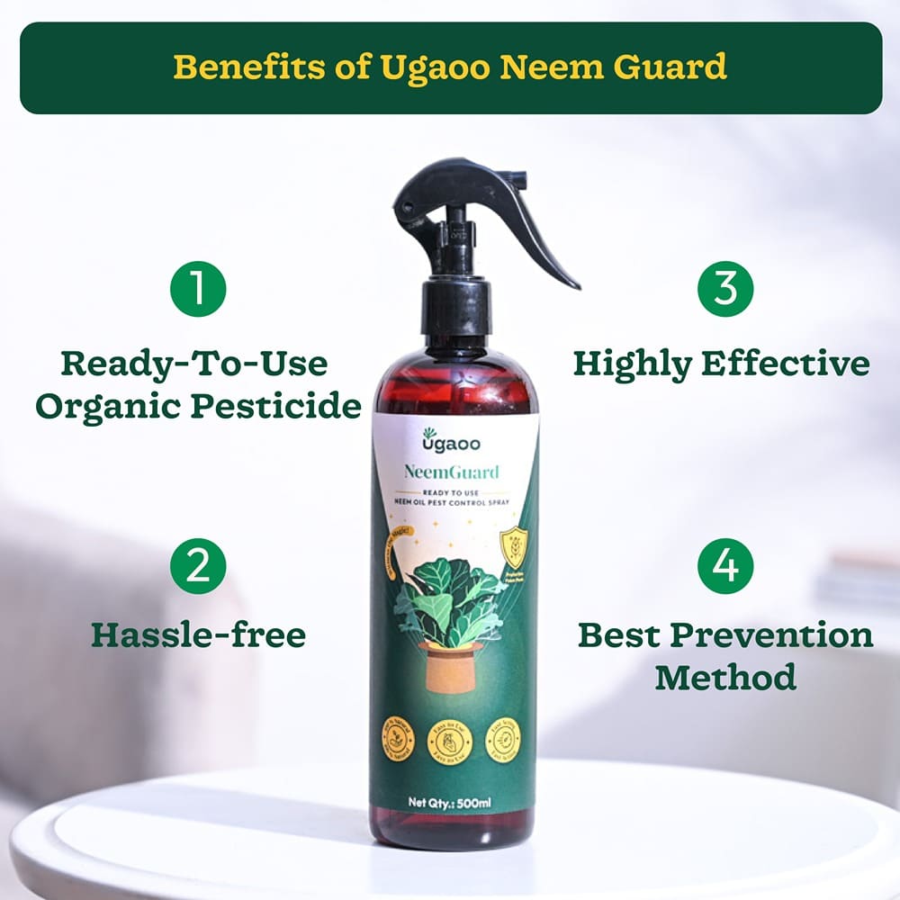 Buy Neem Oil Spray: Natural Solution for Healthy Plant Care – Ugaoo