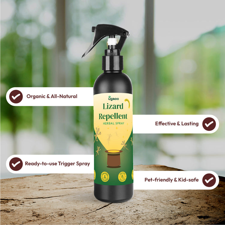 Buy Natural Lizard Repellent Spray: Safe Solution for Pest Control