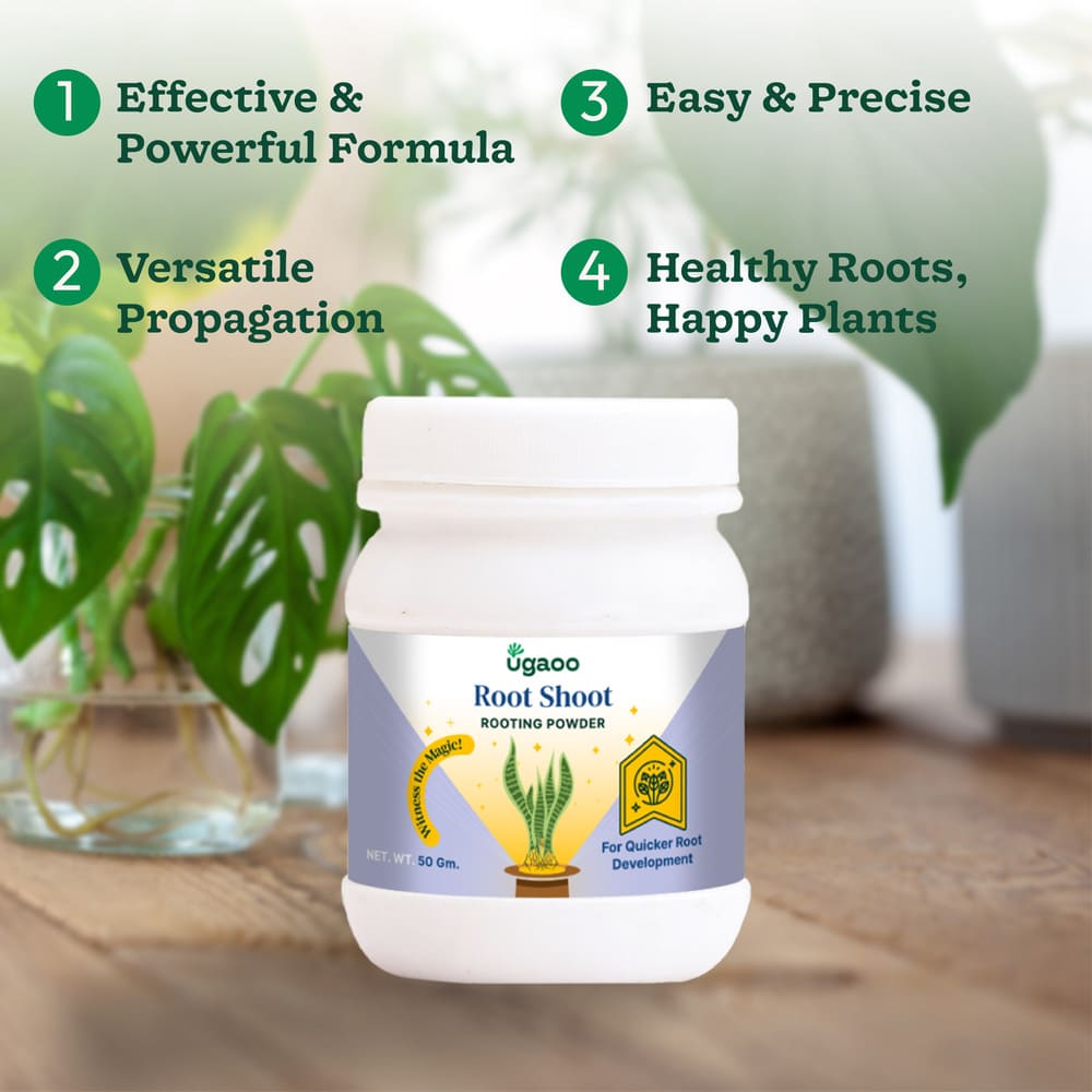 Buy Boost Cutting Growth with Rooting Hormone Powder. – Ugaoo