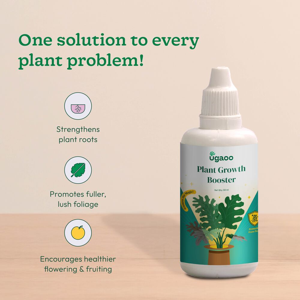 Buy Plant Booster Fertilizer for Healthy & Rapid Plant Growth | Ugaoo