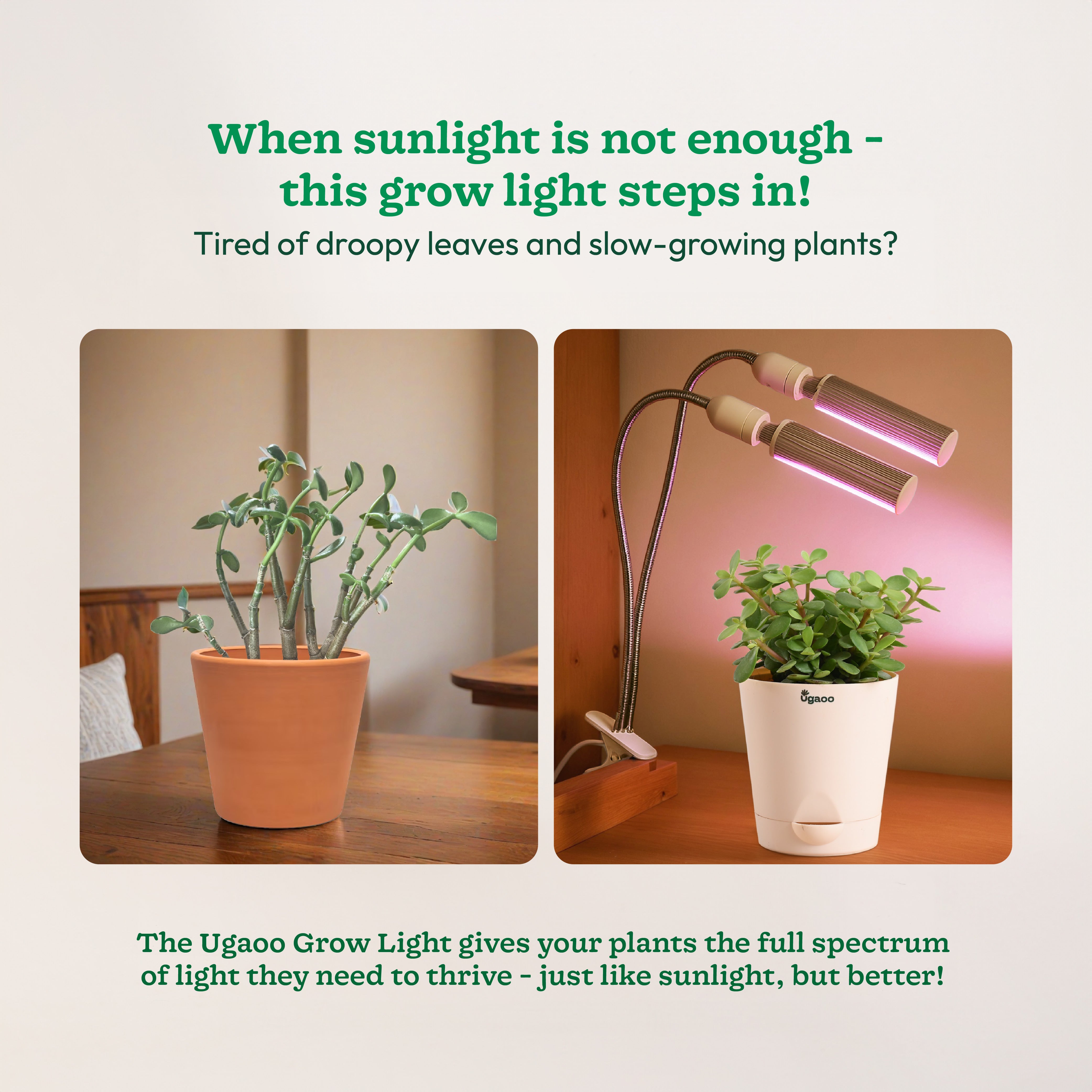 Grow Light for Indoor Plants – Ugaoo