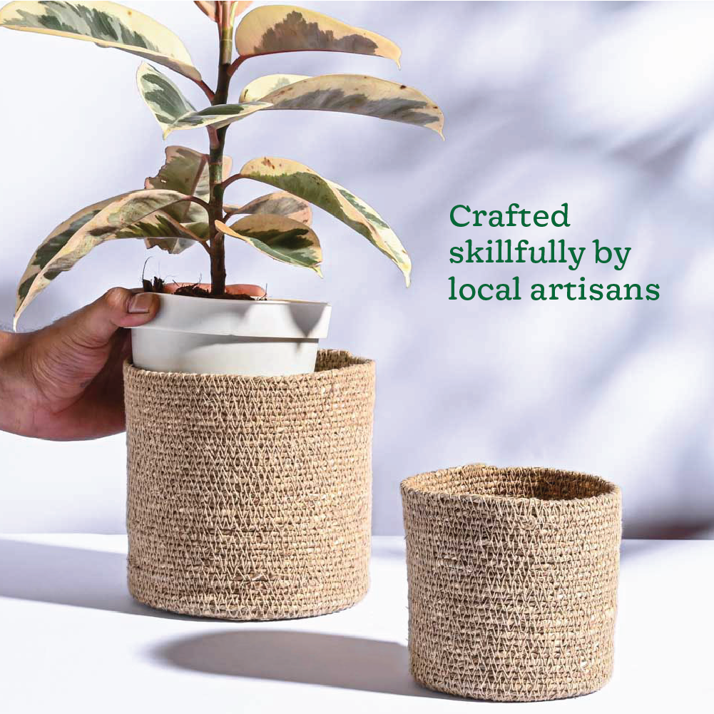 Meadow Planter - Set of 2 – Ugaoo