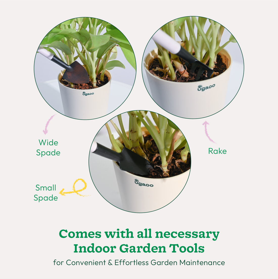 Indoor Gardening Kit – Ugaoo
