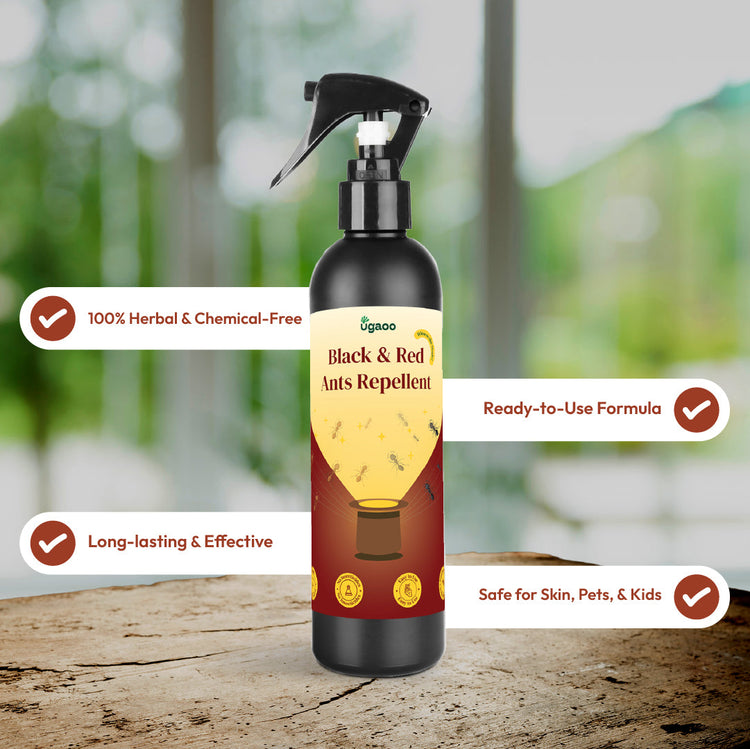 Buy An Effective Ant Killer Spray: Eliminate Ants with Ease