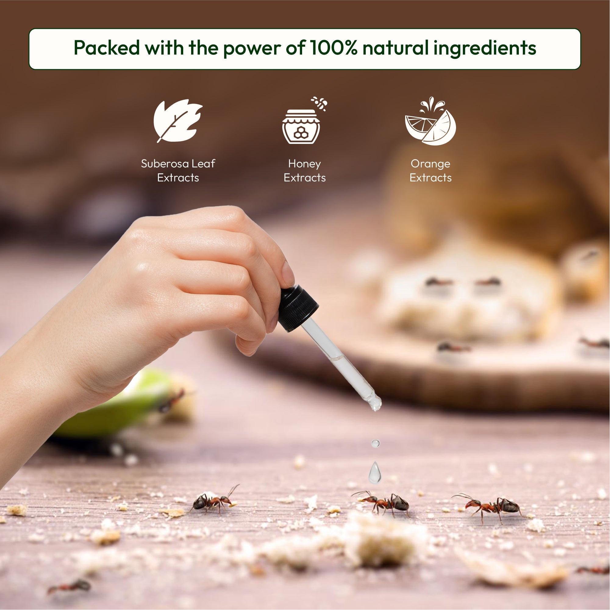 Ant Gel Repellent- 50 ml – Ugaoo