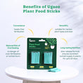 Plant Growth Sticks Pack | Promote Healthy Growth & Blooms