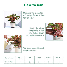 Plant Growth Sticks Pack | Promote Healthy Growth & Blooms – Ugaoo