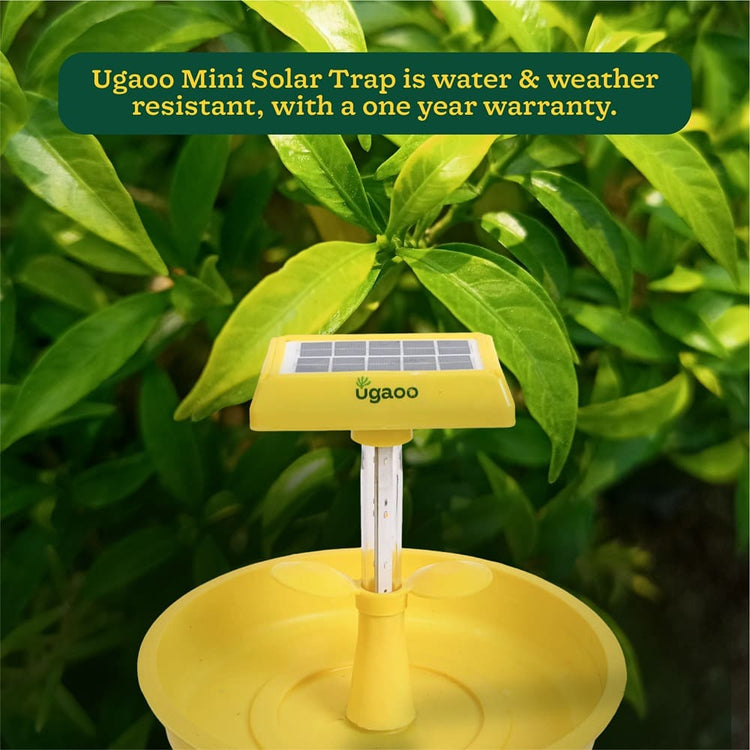 Buy Solar Light Insect Trap | Fly killer machine