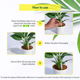 Sustee Hydrate Water Meter | Easily Monitor your Plant's Water Needs ...