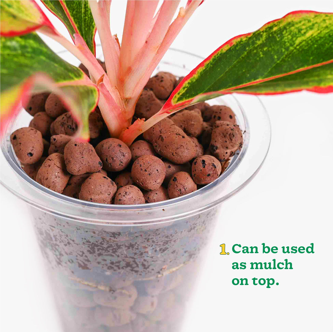 Buy Hydrostone Leca Balls for Plants | Hydroponic Plant Growth ...