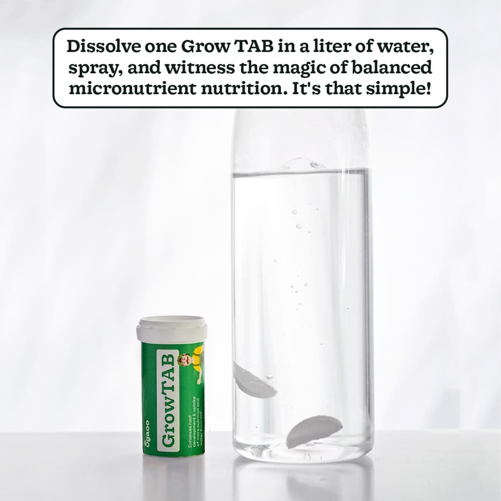 Grow TAB Fertilizers: Water Soluble Micro-nutrient Tablets for Plants ...