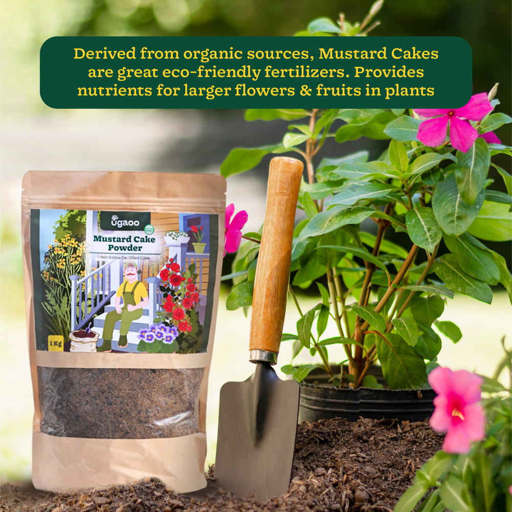 Buy Mustard Cake Powder: Natural Plant Growth Booster