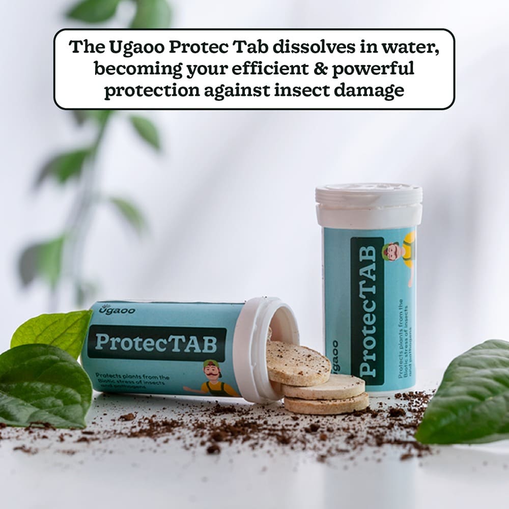 Buy Protec Tab: Guard Your Plants Against Bugs and Pests – Ugaoo