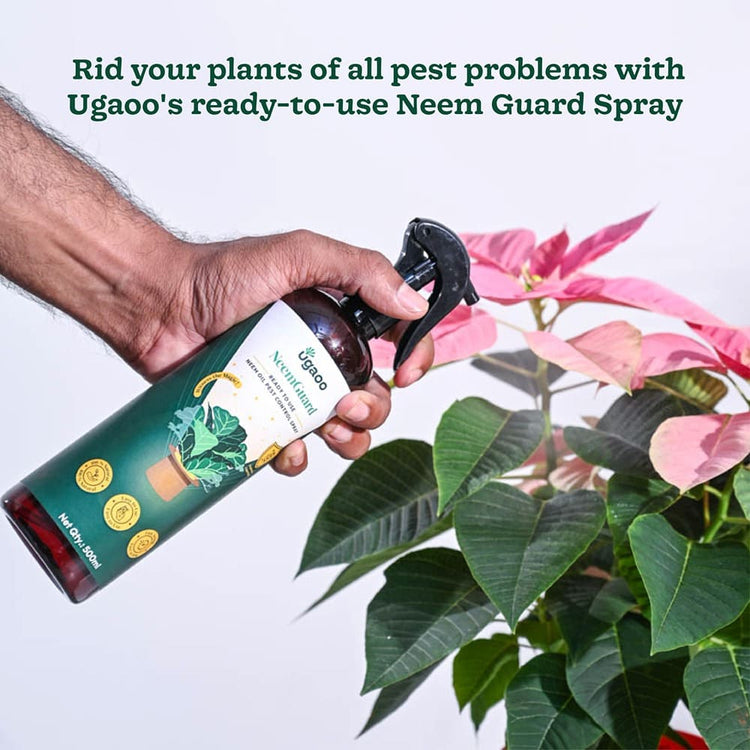 Buy Neem Oil Spray: Natural Solution for Healthy Plant Care