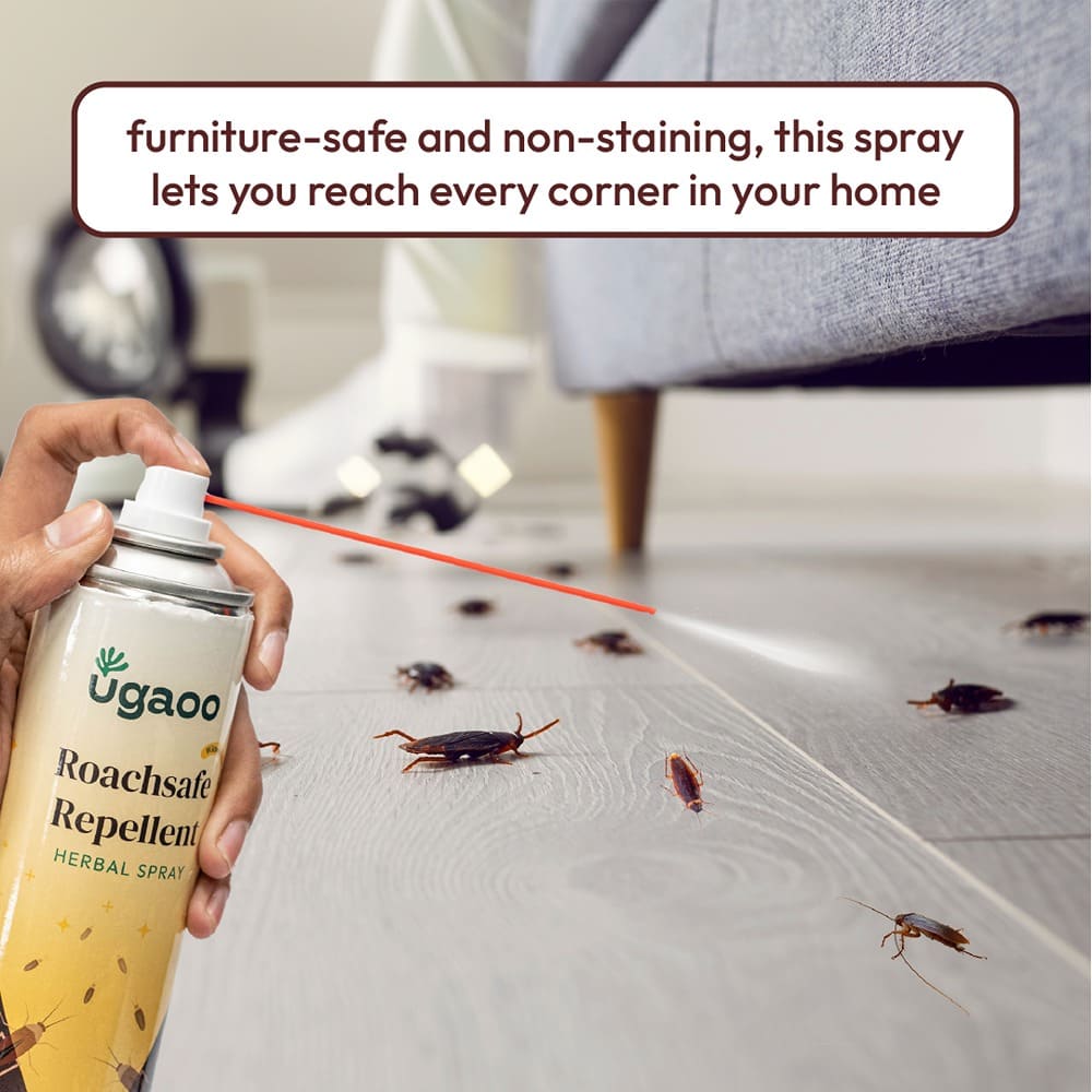 Buy the Powerful Cockroach Repellent: An Ultimate Roach Killer Spray