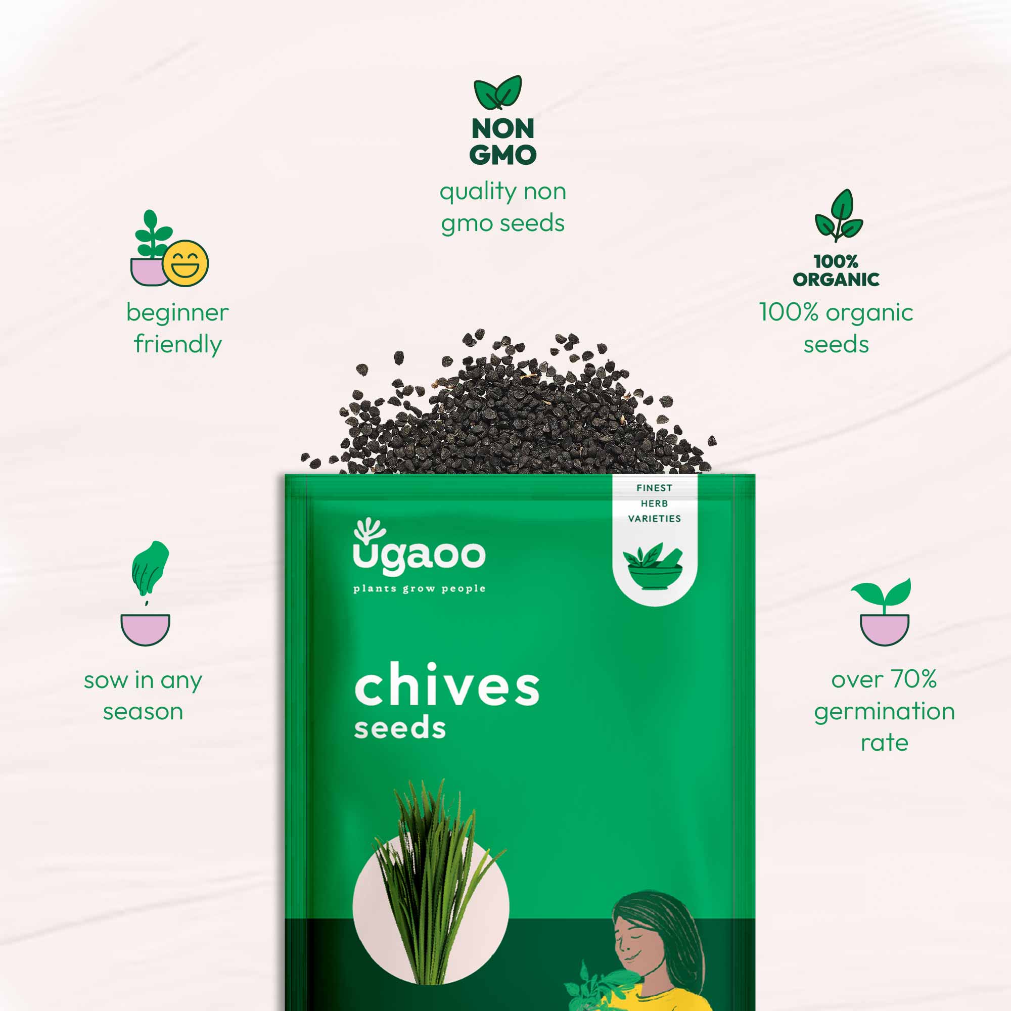 Chives Seeds – Ugaoo