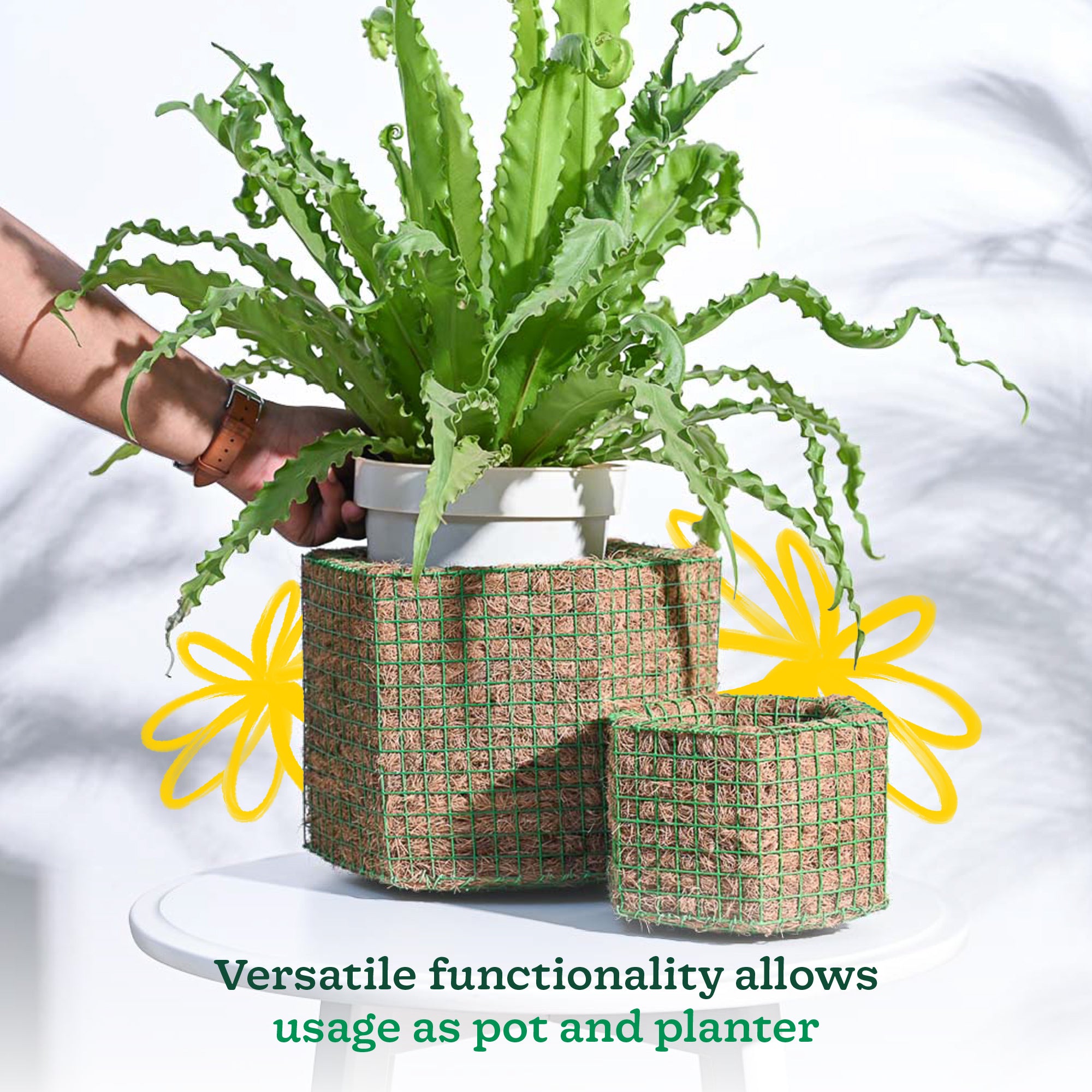 Hexa Coir Planter - Set of 2 – Ugaoo