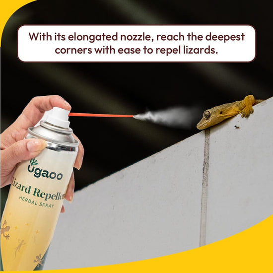 Buy Natural Lizard Repellent Spray: Safe Solution for Pest Control