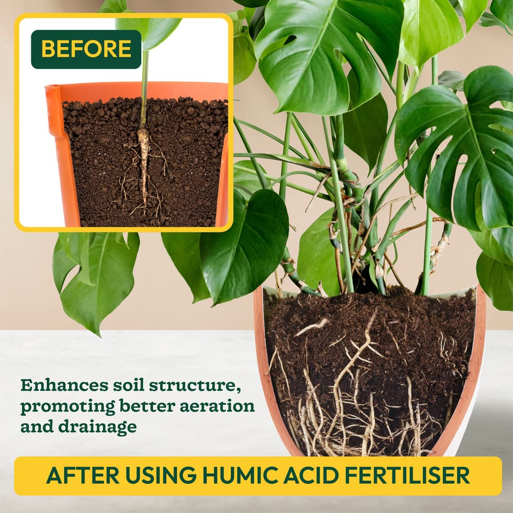 Premium Humic Acid for Plants: Boost Growth with Humic Acid Powder – Ugaoo