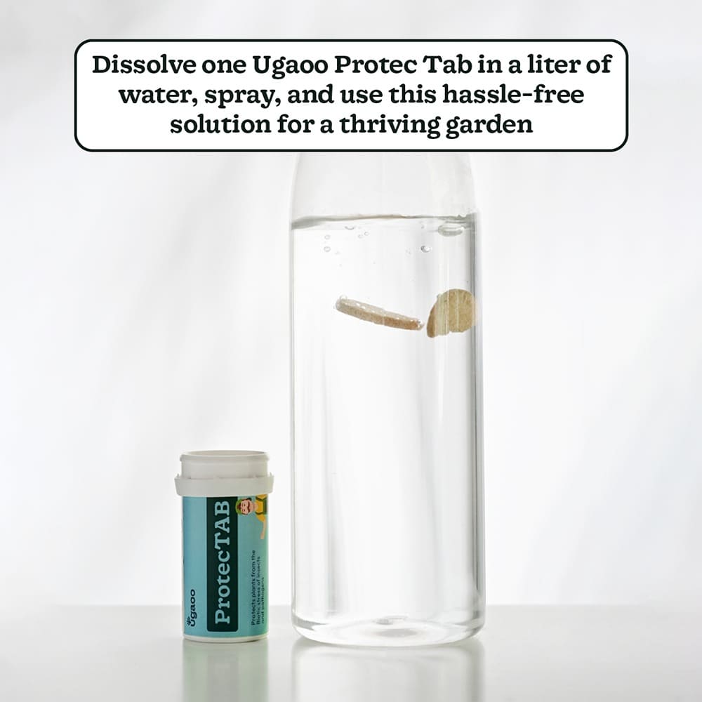 Buy Protec Tab: Guard Your Plants Against Bugs and Pests – Ugaoo