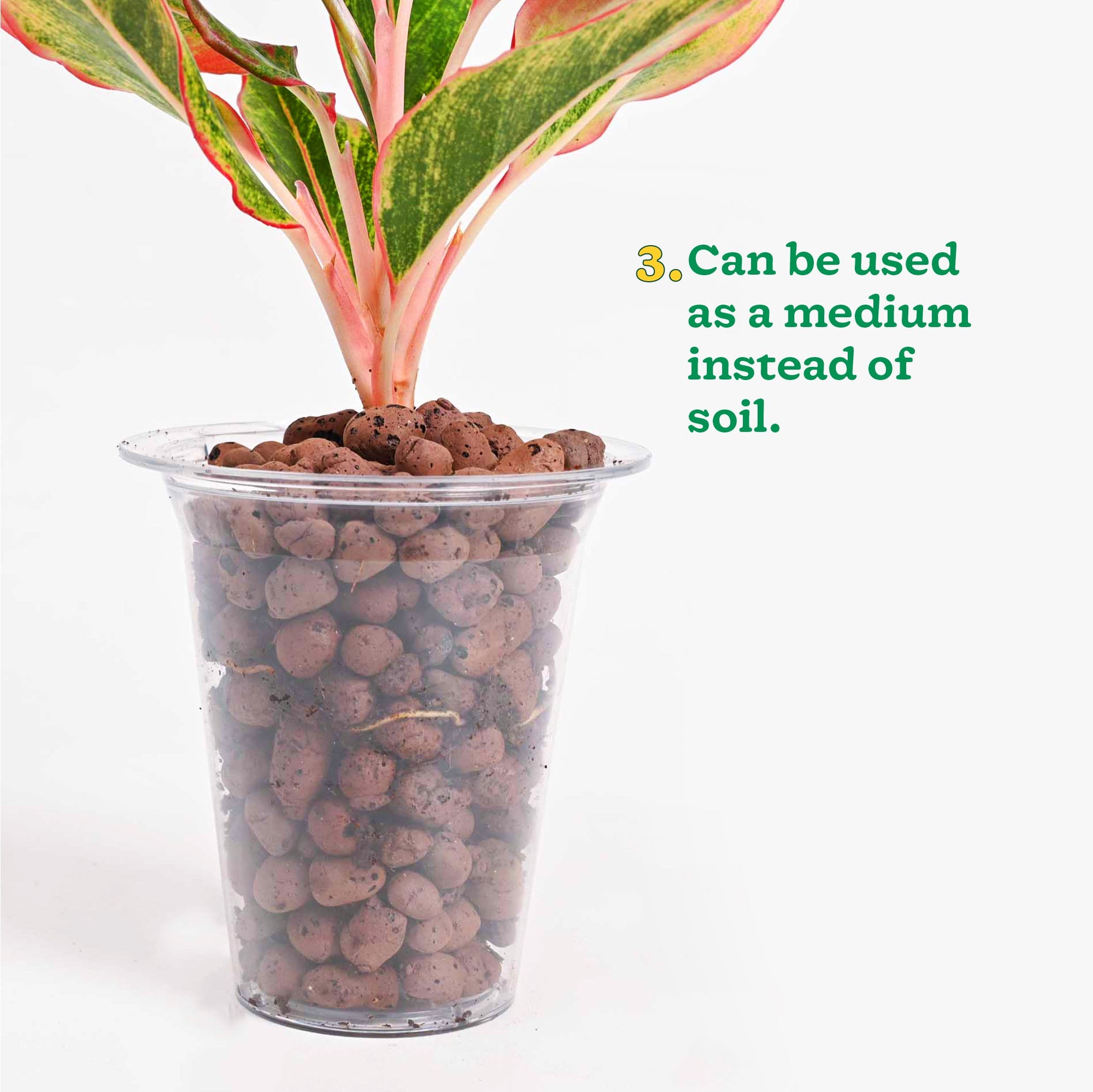 Buy Hydrostone Leca Balls for Plants | Hydroponic Plant Growth ...