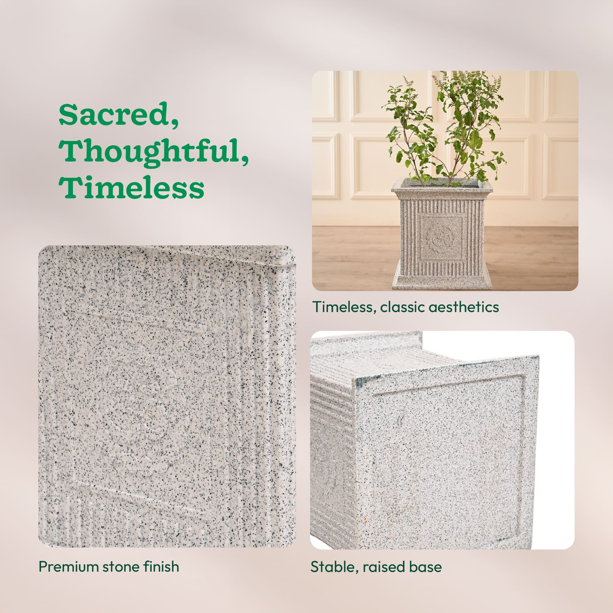 Buy Plastic Pot for Tulsi Plant | Durable & Elegant | Ugaoo