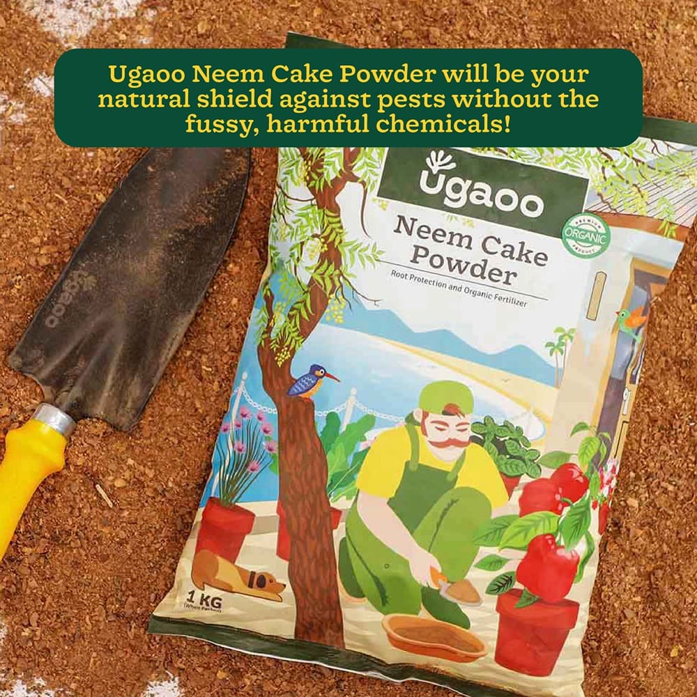 Buy Neem Cake Powder for Healthy Plants: Natural Growth Booster