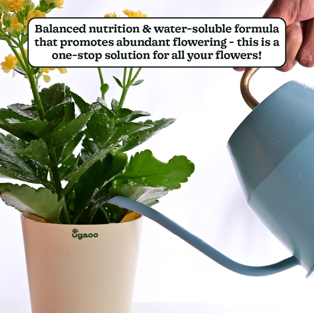 Flora Tab Fertilizer Tablets: Boost Flower Growth Naturally – Ugaoo