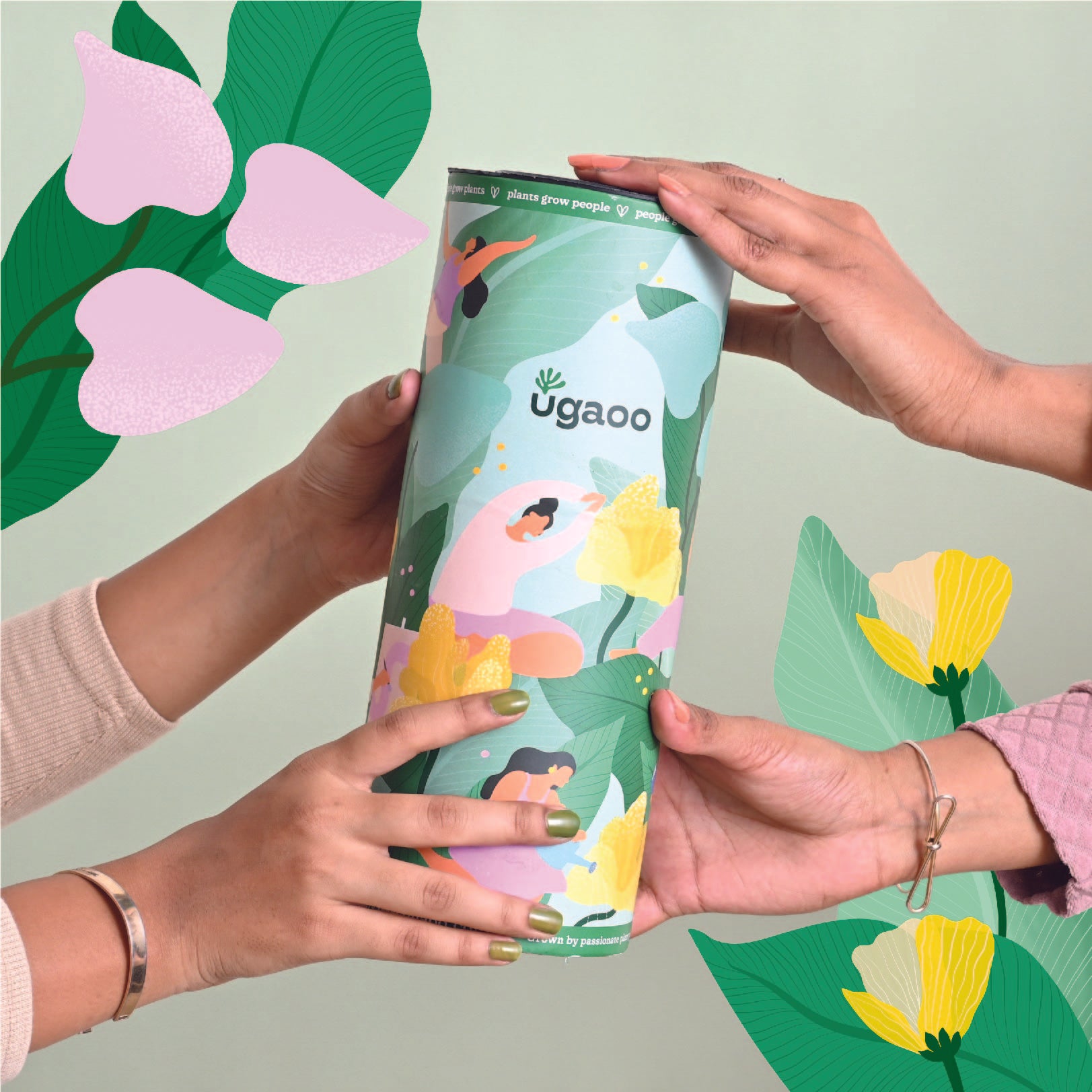 Peace Lily Plant Gift for Women's Day – Ugaoo