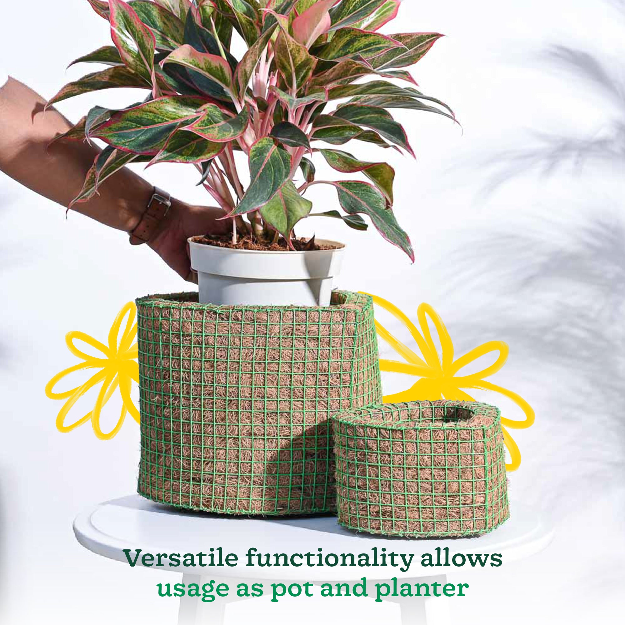 Heart Coir Planter - Set of 2 – Ugaoo