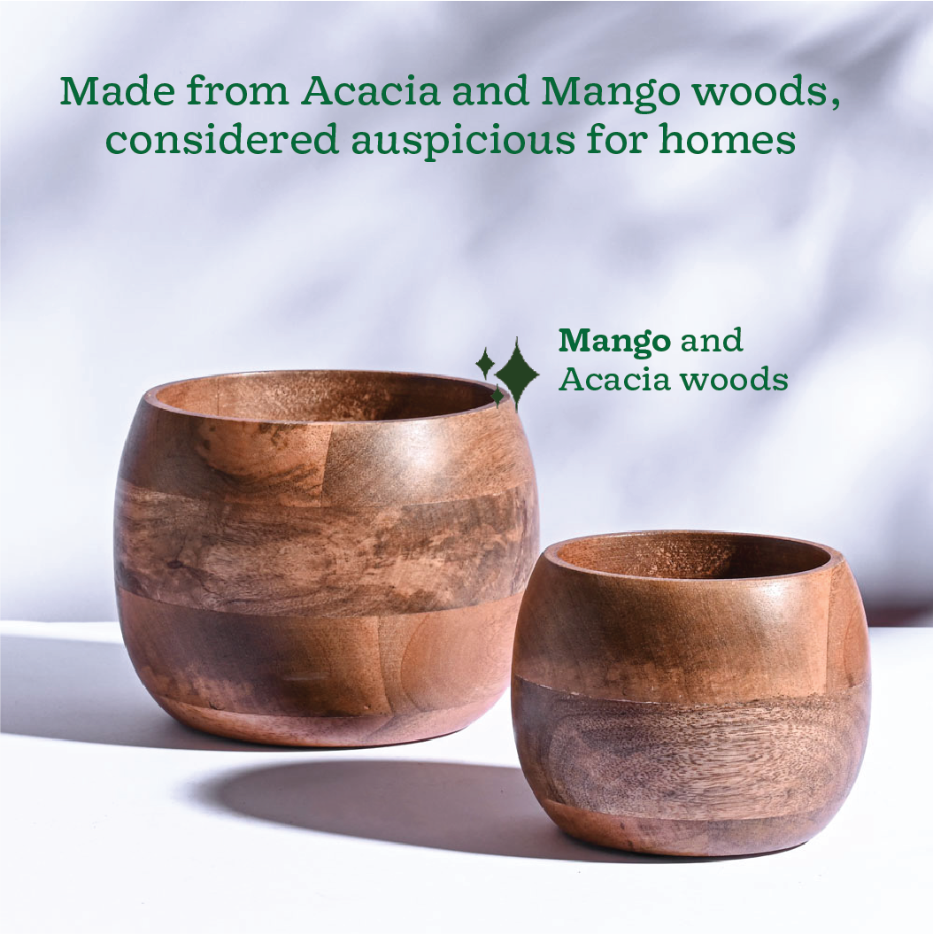 Orbit Wooden Planter - Set of 2 – Ugaoo