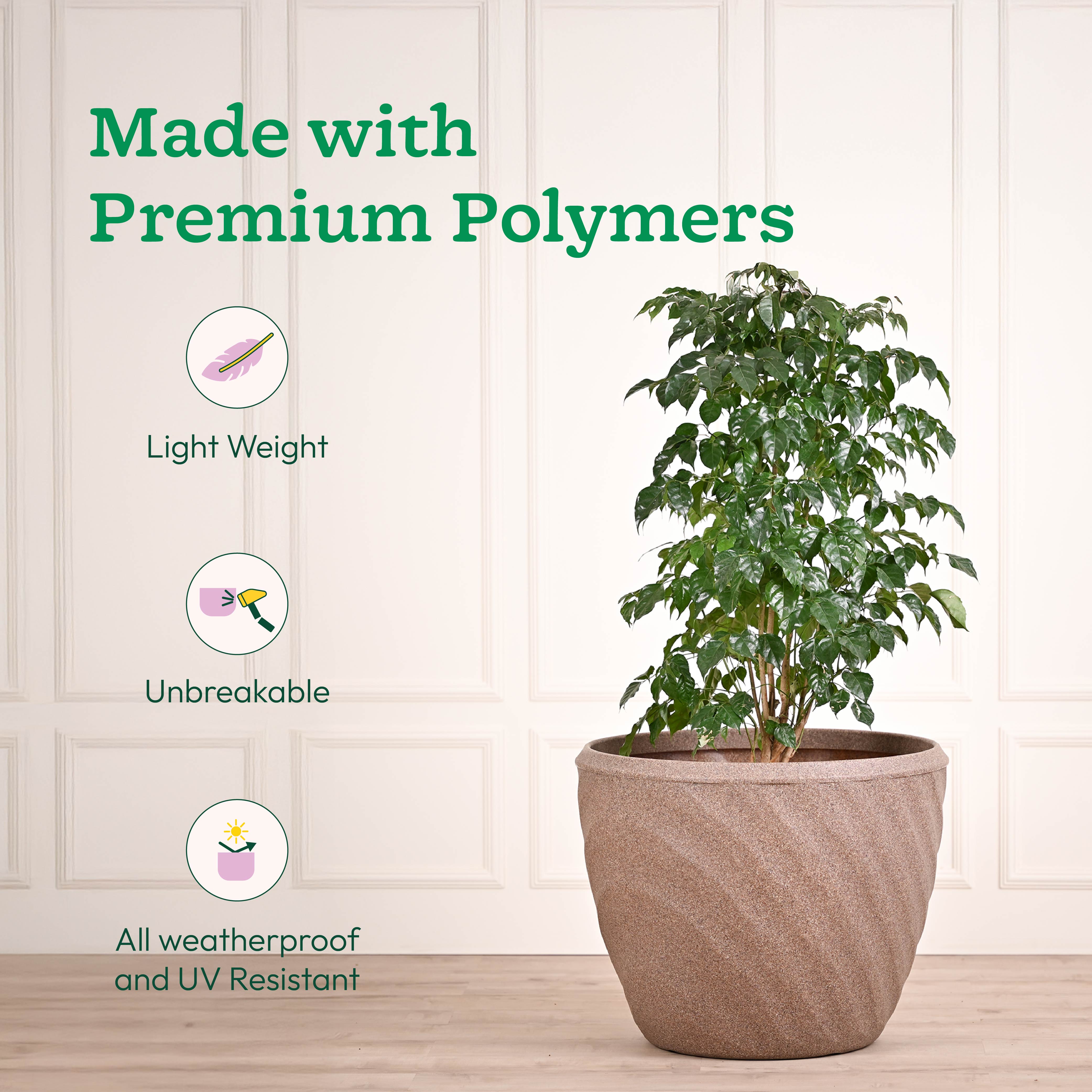 Buy Euro Plastic Large Planter Online | Durable & Elegant | Ugaoo