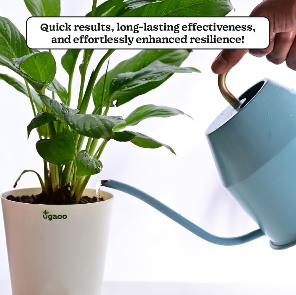 Grow TAB Fertilizers: Water Soluble Micro-nutrient Tablets for Plants ...