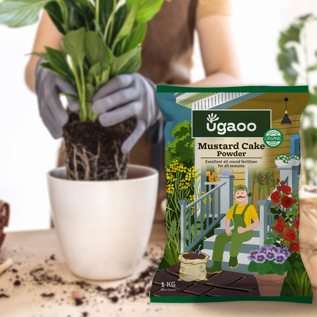 Buy Mustard Cake Powder: Natural Plant Growth Booster – Ugaoo