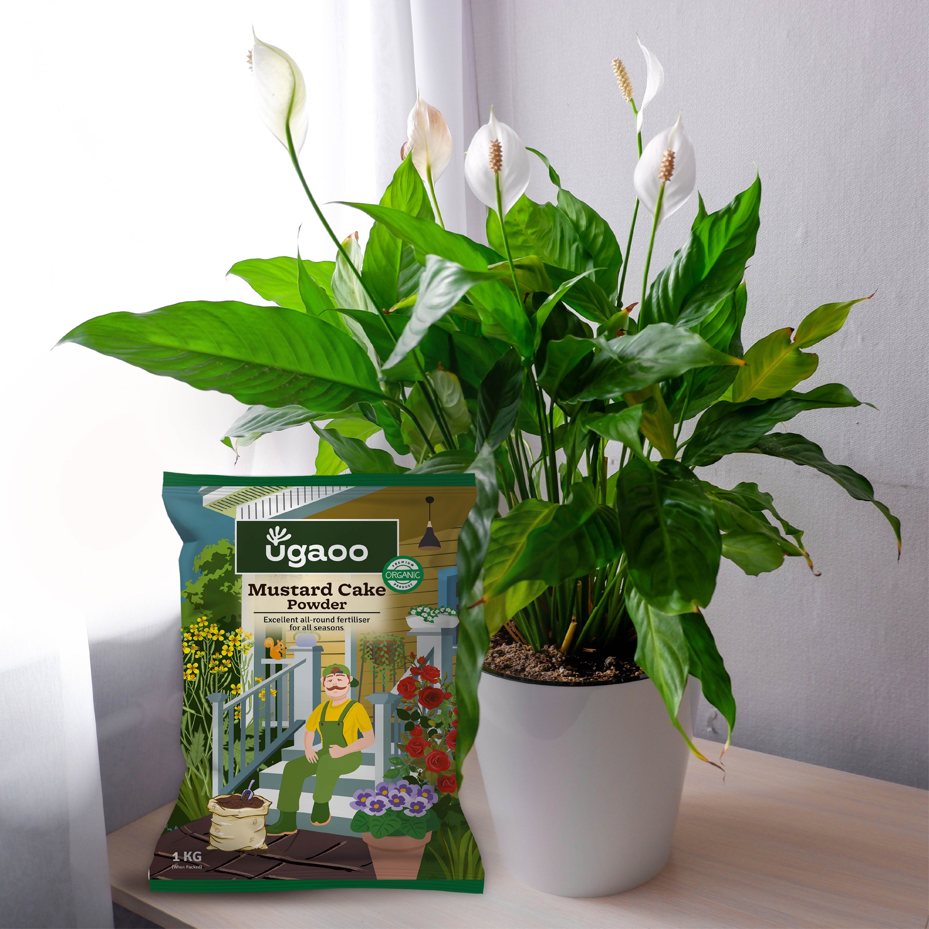 Buy Mustard Cake Powder: Natural Plant Growth Booster – Ugaoo