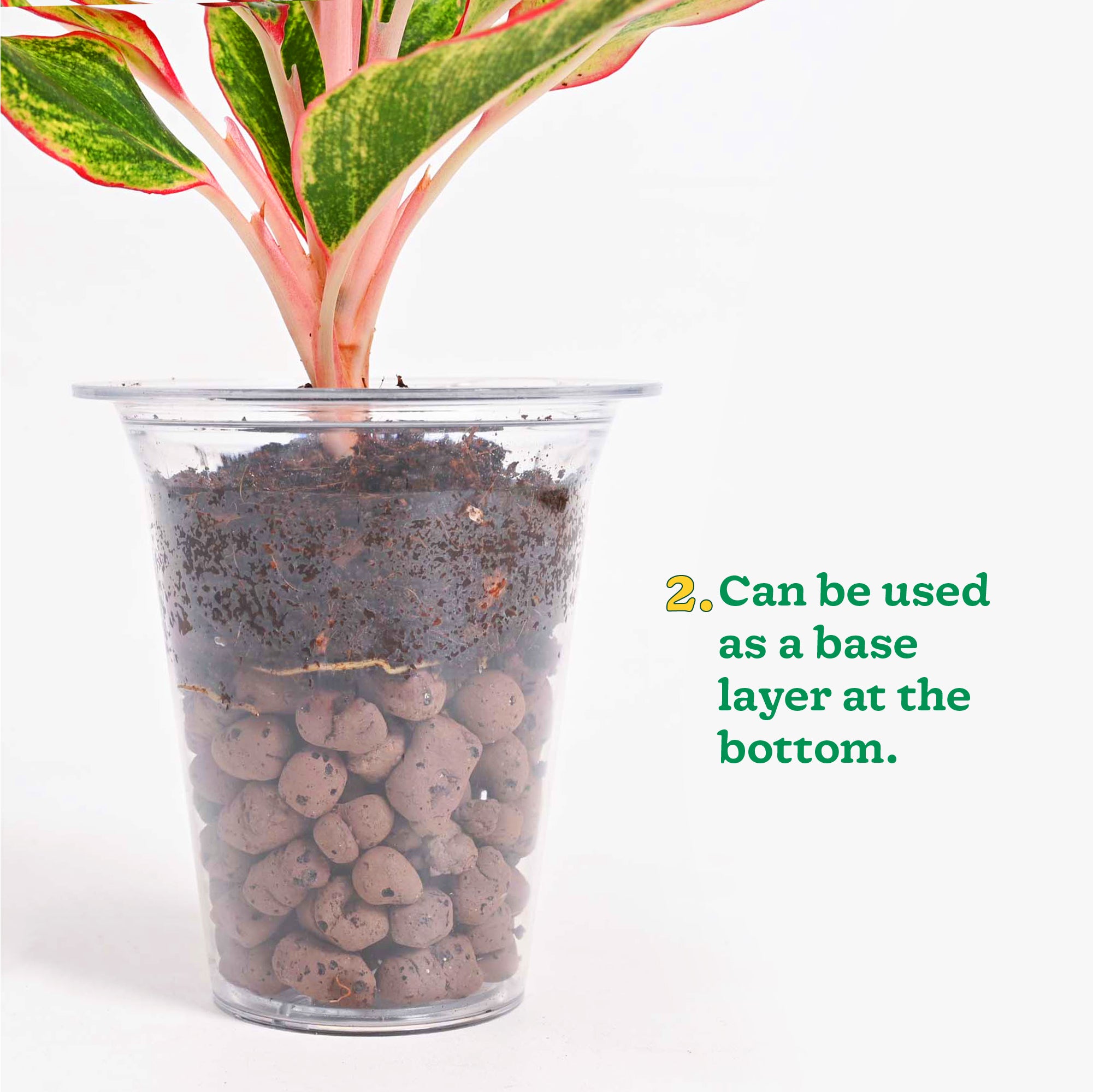 Buy Hydrostone Leca Balls for Plants | Hydroponic Plant Growth ...