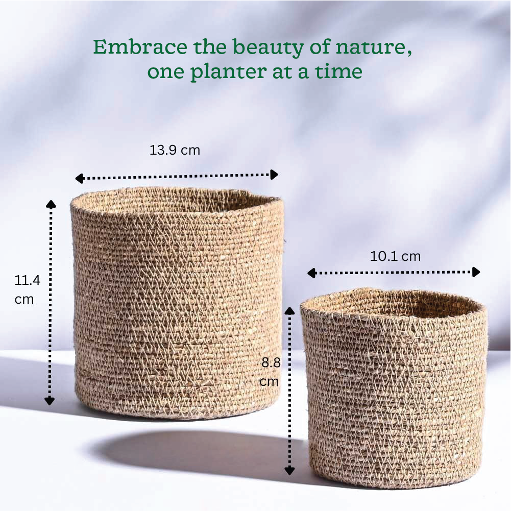 Meadow Planter - Set of 2 – Ugaoo