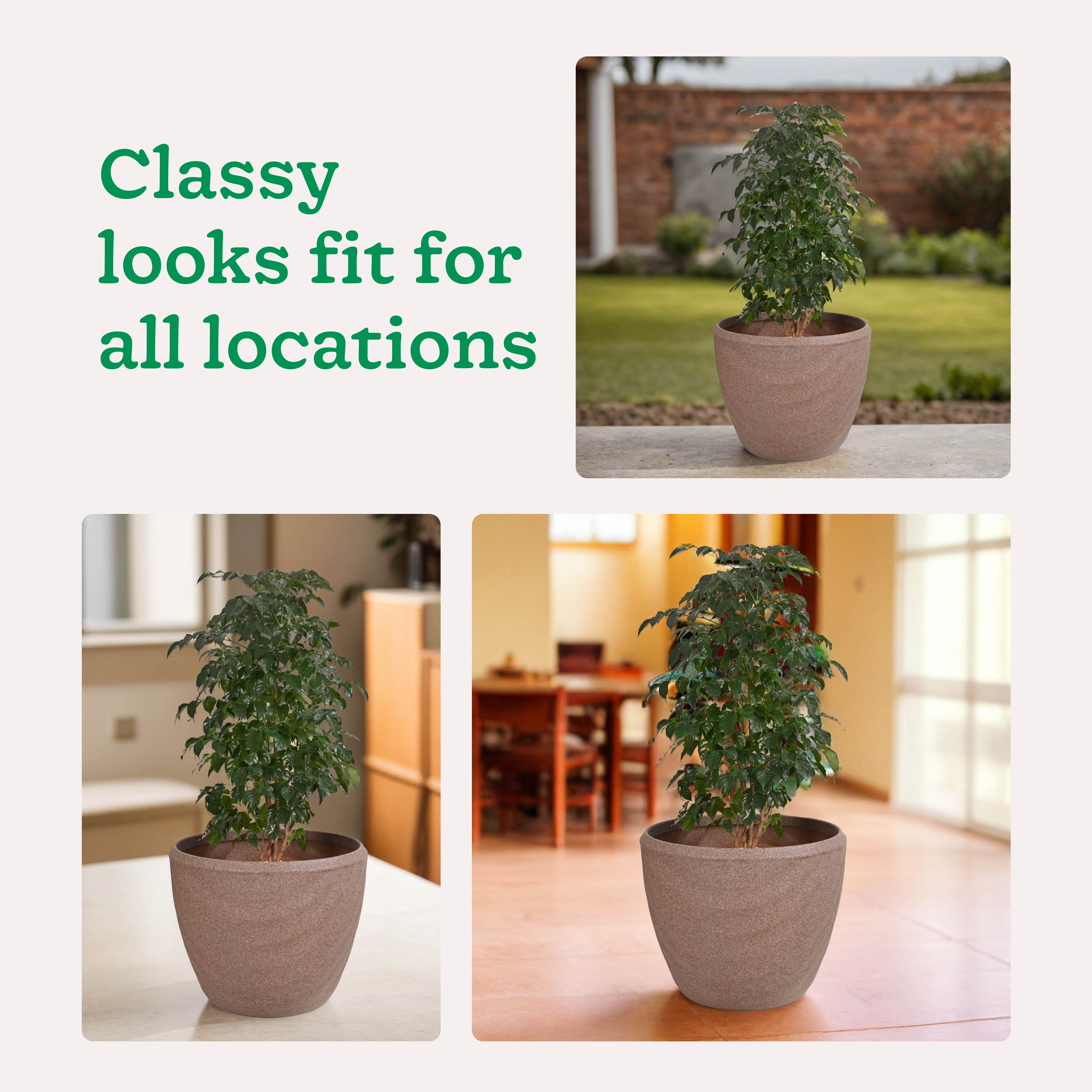 Buy Euro Plastic Large Planter Online | Durable & Elegant | Ugaoo