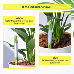 Sustee Hydrate Water Meter | Easily Monitor your Plant's Water Needs ...