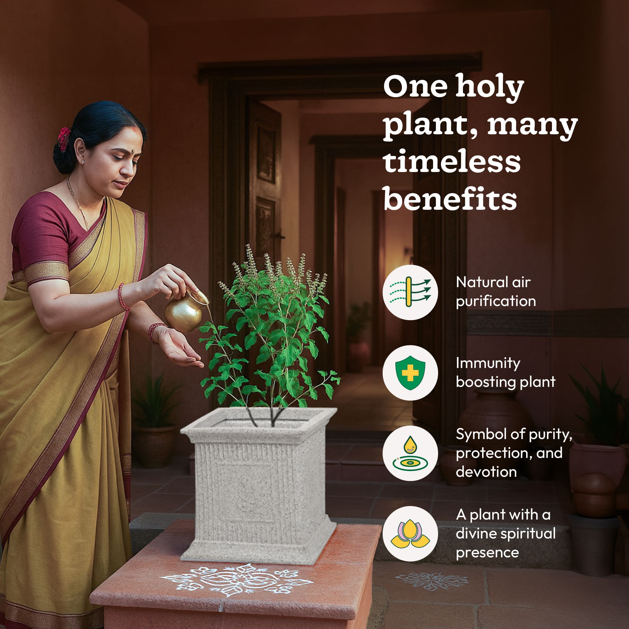 Buy Plastic Pot for Tulsi Plant | Durable & Elegant | Ugaoo