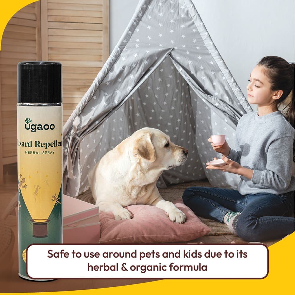Buy Natural Lizard Repellent Spray: Safe Solution for Pest Control