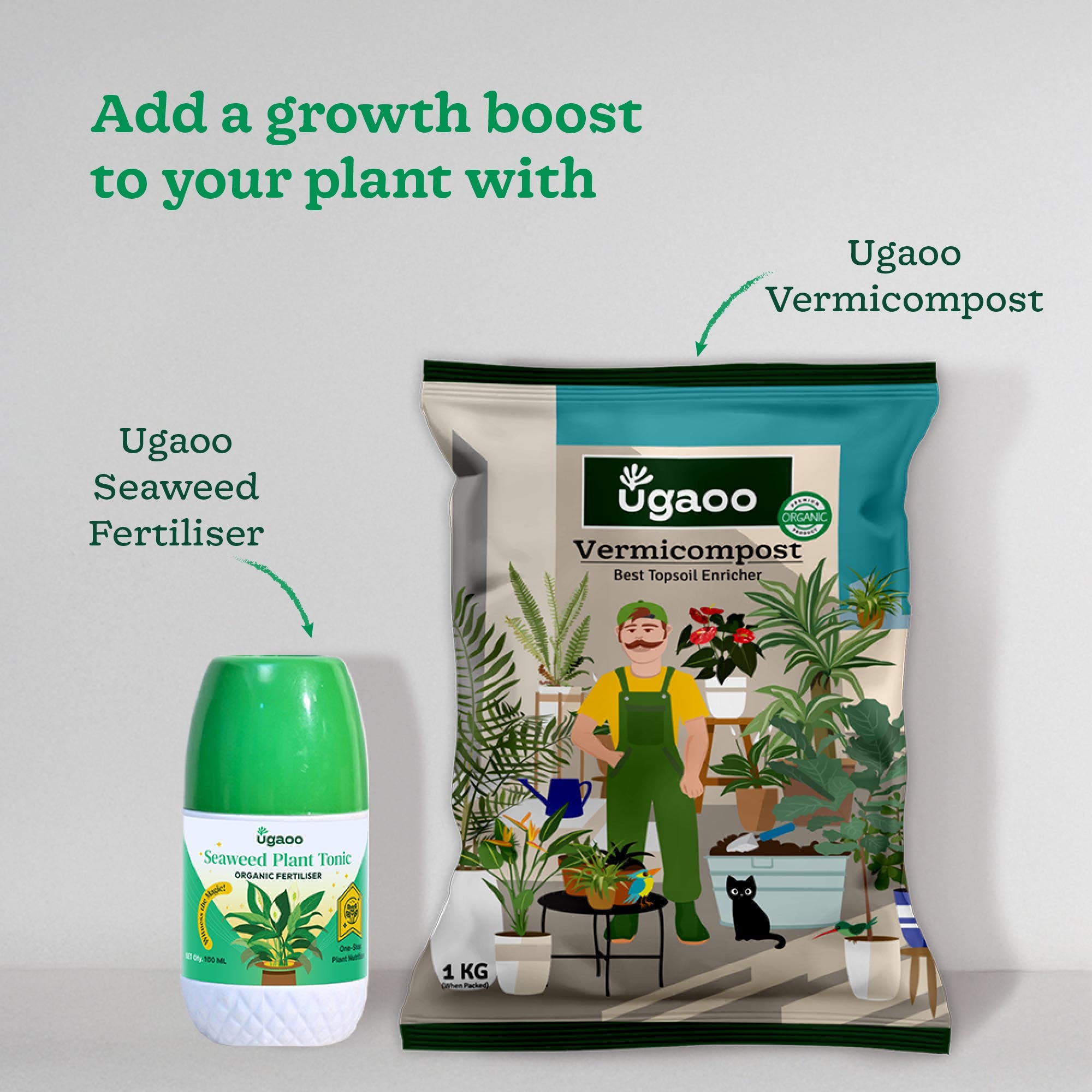 Philodendron Ceylon Golden Plant With Moss Stick – Ugaoo