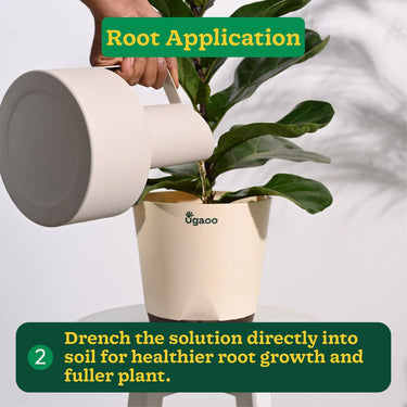 Buy Humic & Fulvic Acid Fertilizer | Plant Growth Booster – Ugaoo