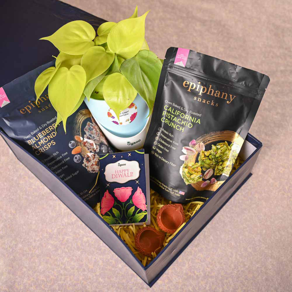 Philodendron Oxycardium Golden Plant & Epiphany Snacks Diwali Gift Ham ...